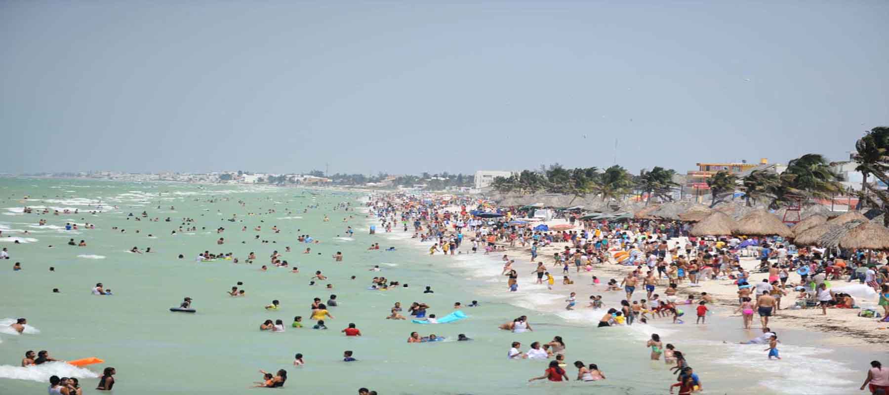 progreso – Flamingo Coast Real Estate